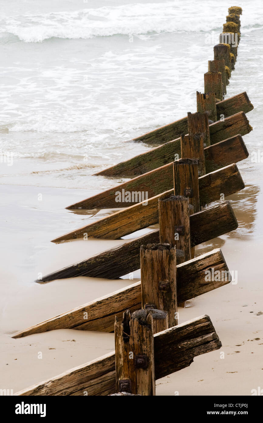 Beach wood in the sea Stock Photo - Alamy