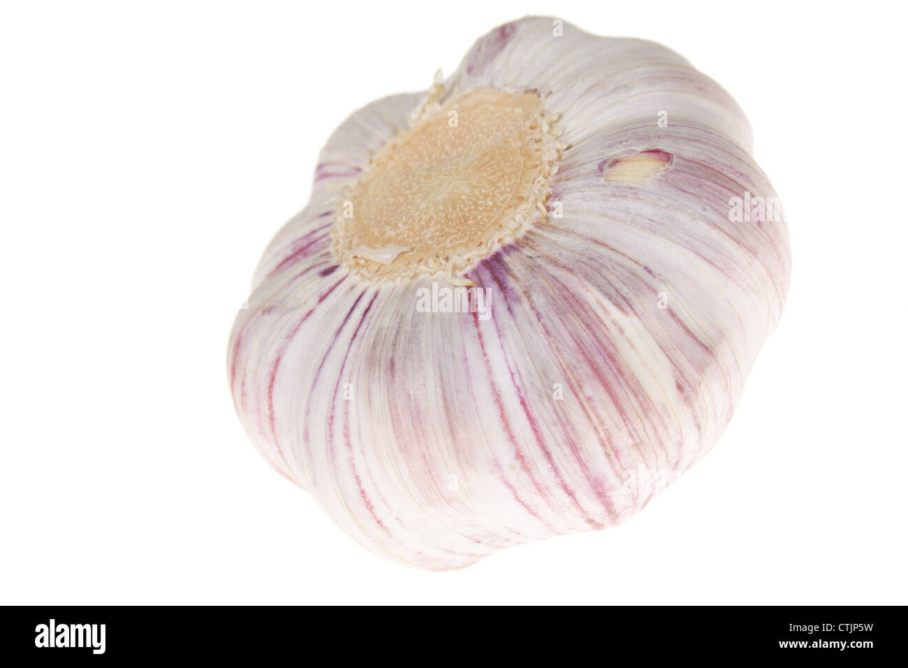 one Garlic, photo on the white background Stock Photo - Alamy