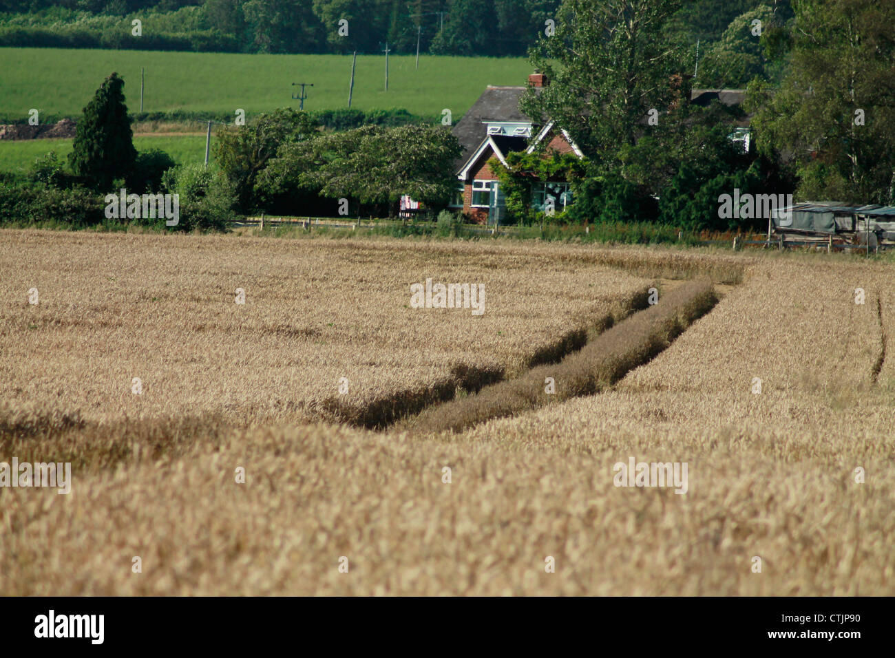 A farm in southern England Stock Photo - Alamy