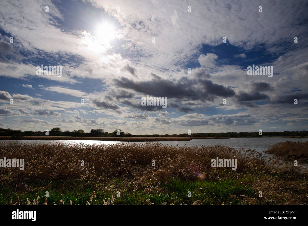 Kent wildlife nature reserve hi-res stock photography and images - Alamy
