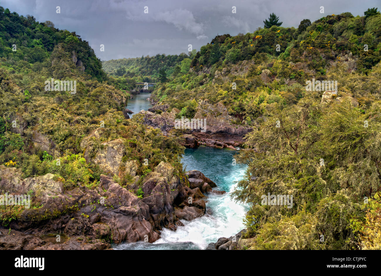 Waikato River Running Through The Tree Covered Landscape; Taupo, New ...