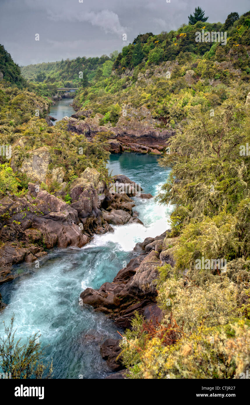 New zealand wild flowers people hi-res stock photography and images - Alamy