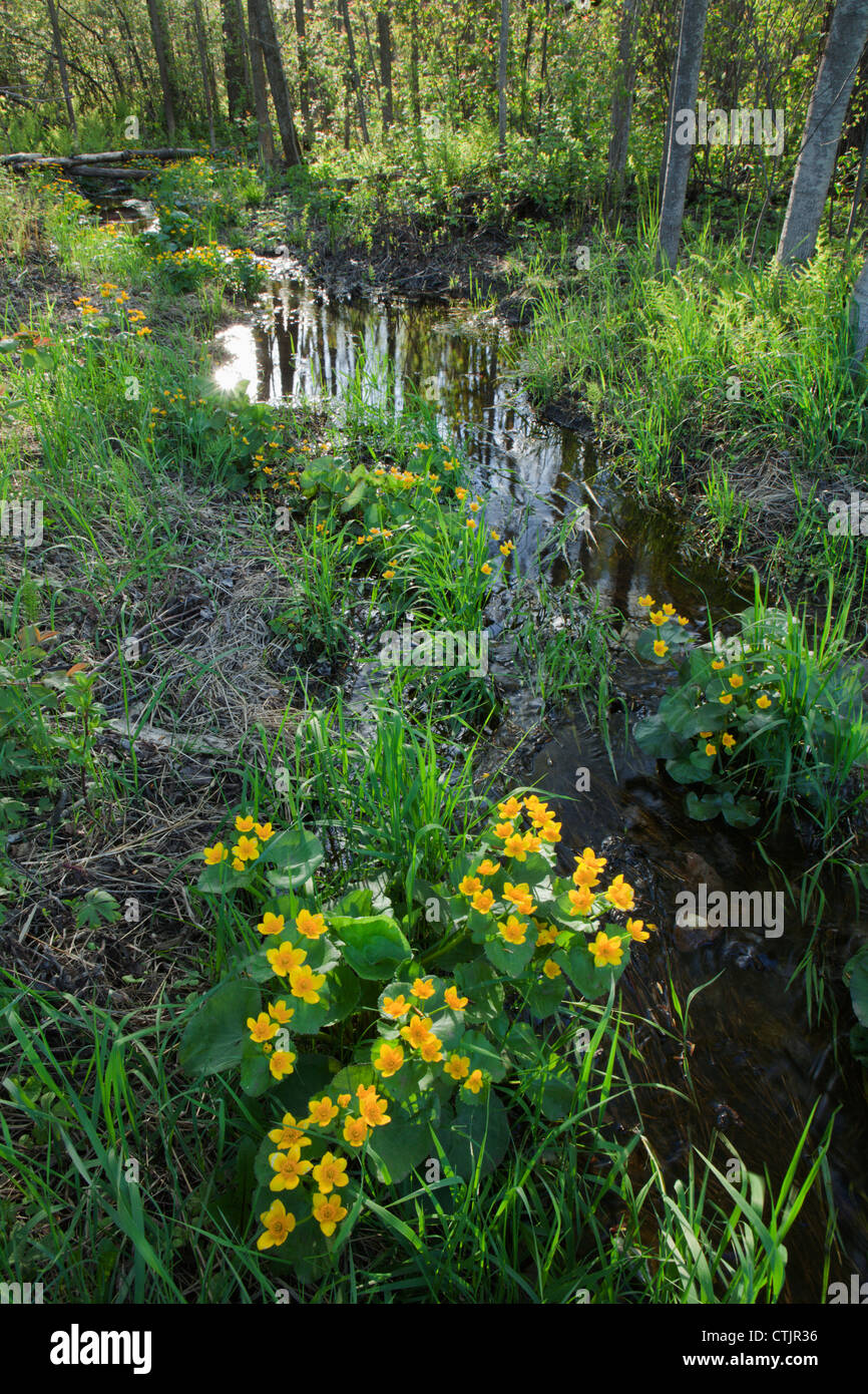 Spring thunder hi-res stock photography and images - Alamy