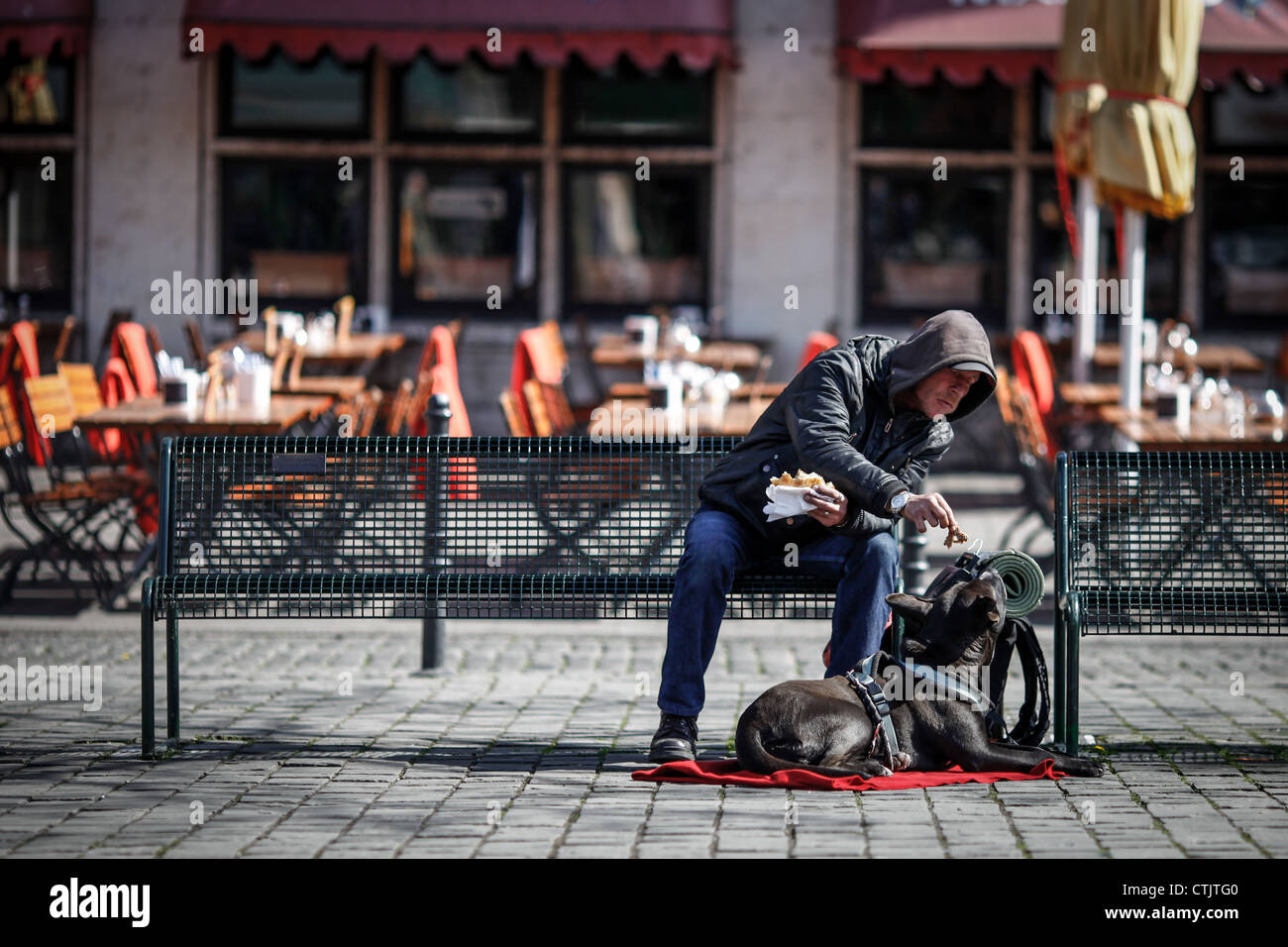 Homeless person feeding dog Stock Photo - Alamy