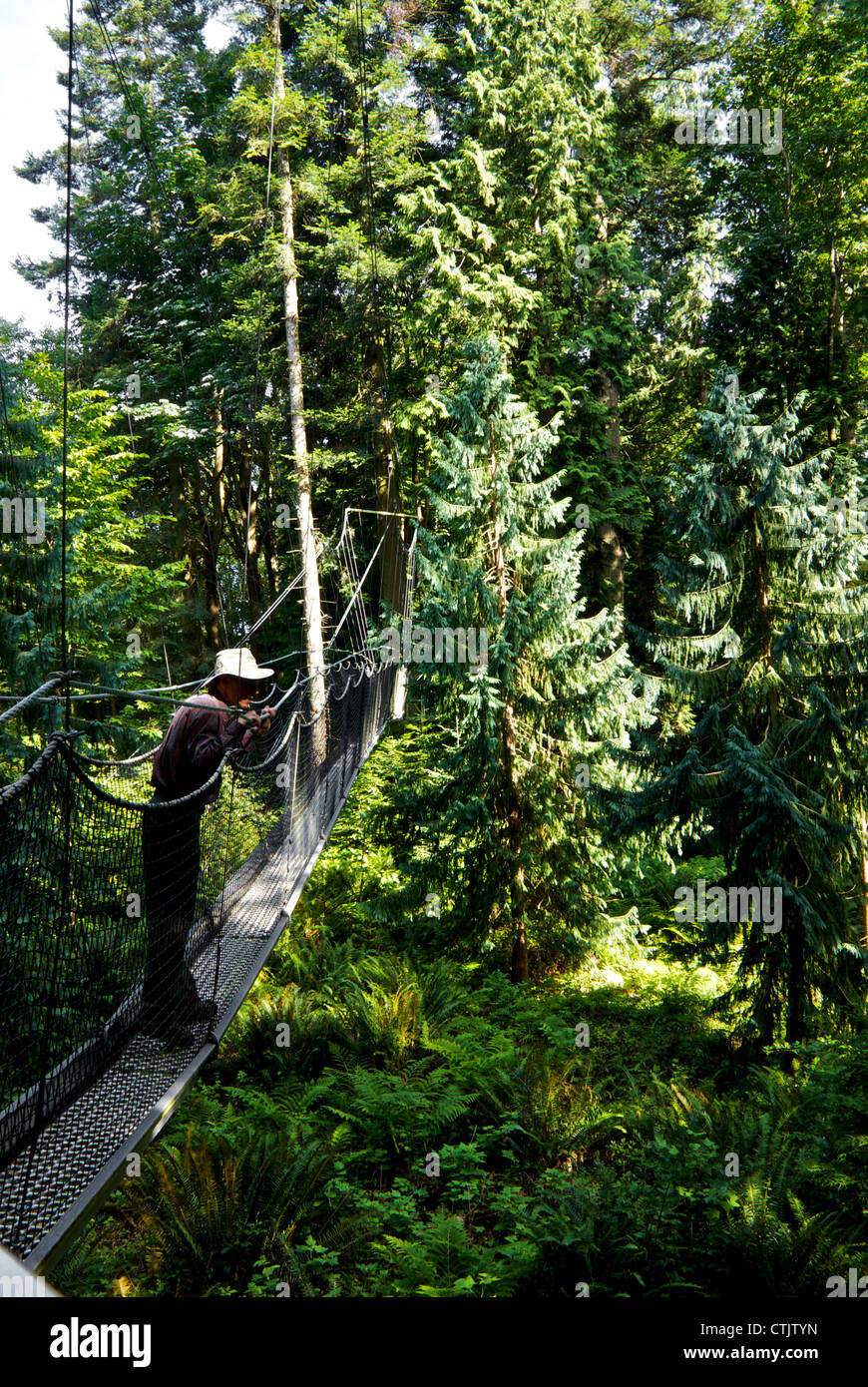 Man looking at ground from suspended narrow metal walkway in tree ...