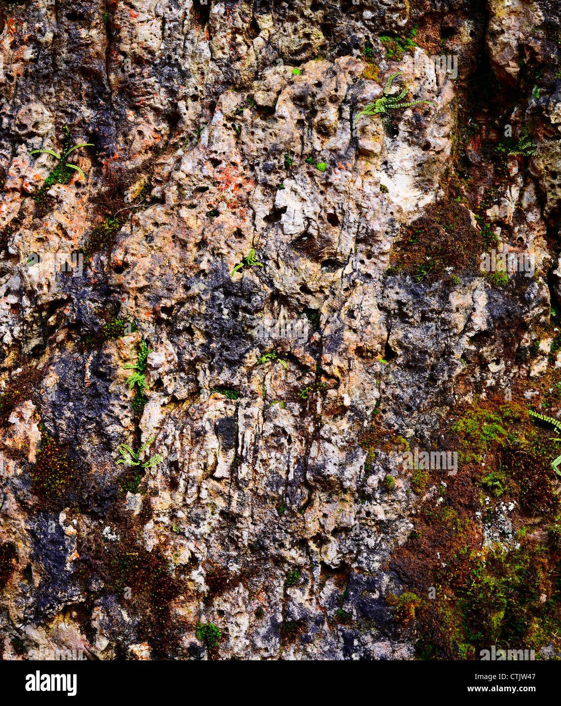 Lime scale hi-res stock photography and images - Alamy