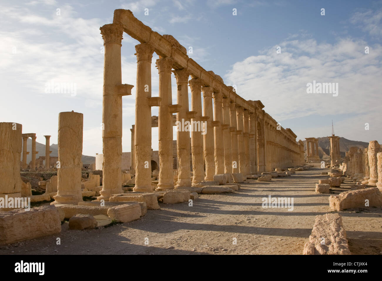 Palmyra ancient Roman site, in Syria near Damascus Stock Photo - Alamy