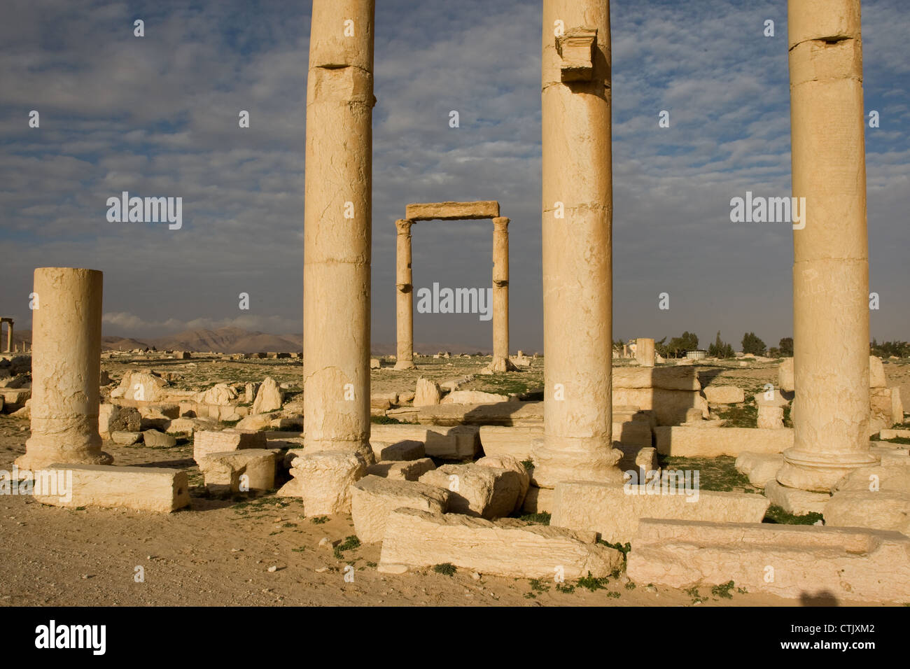 Palmyra ancient Roman site, in Syria near Damascus Stock Photo - Alamy