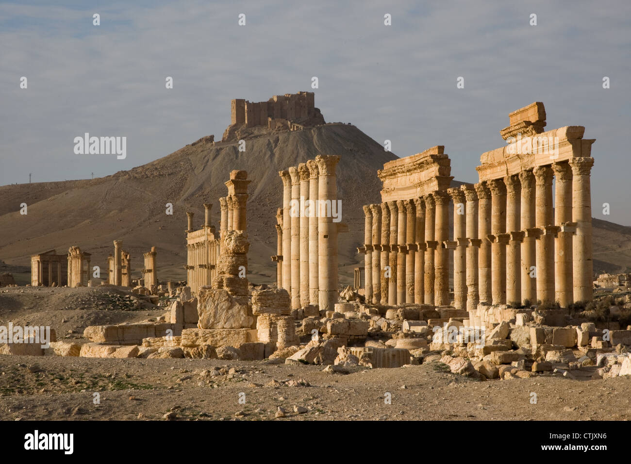 Palmyra ancient Roman site, in Syria near Damascus Stock Photo - Alamy