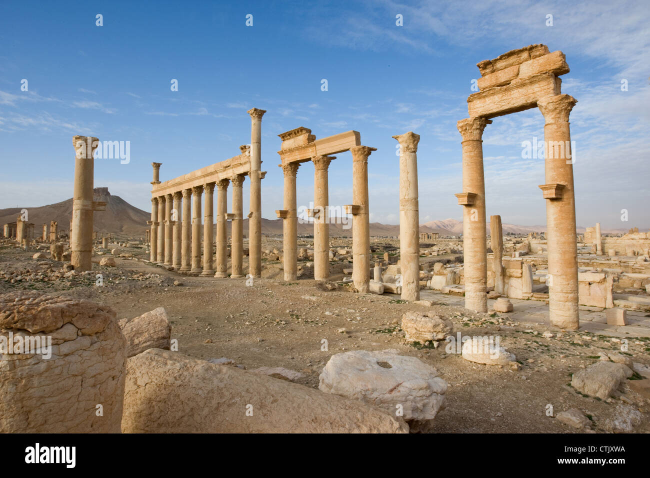 Palmyra ancient Roman site, in Syria near Damascus Stock Photo - Alamy