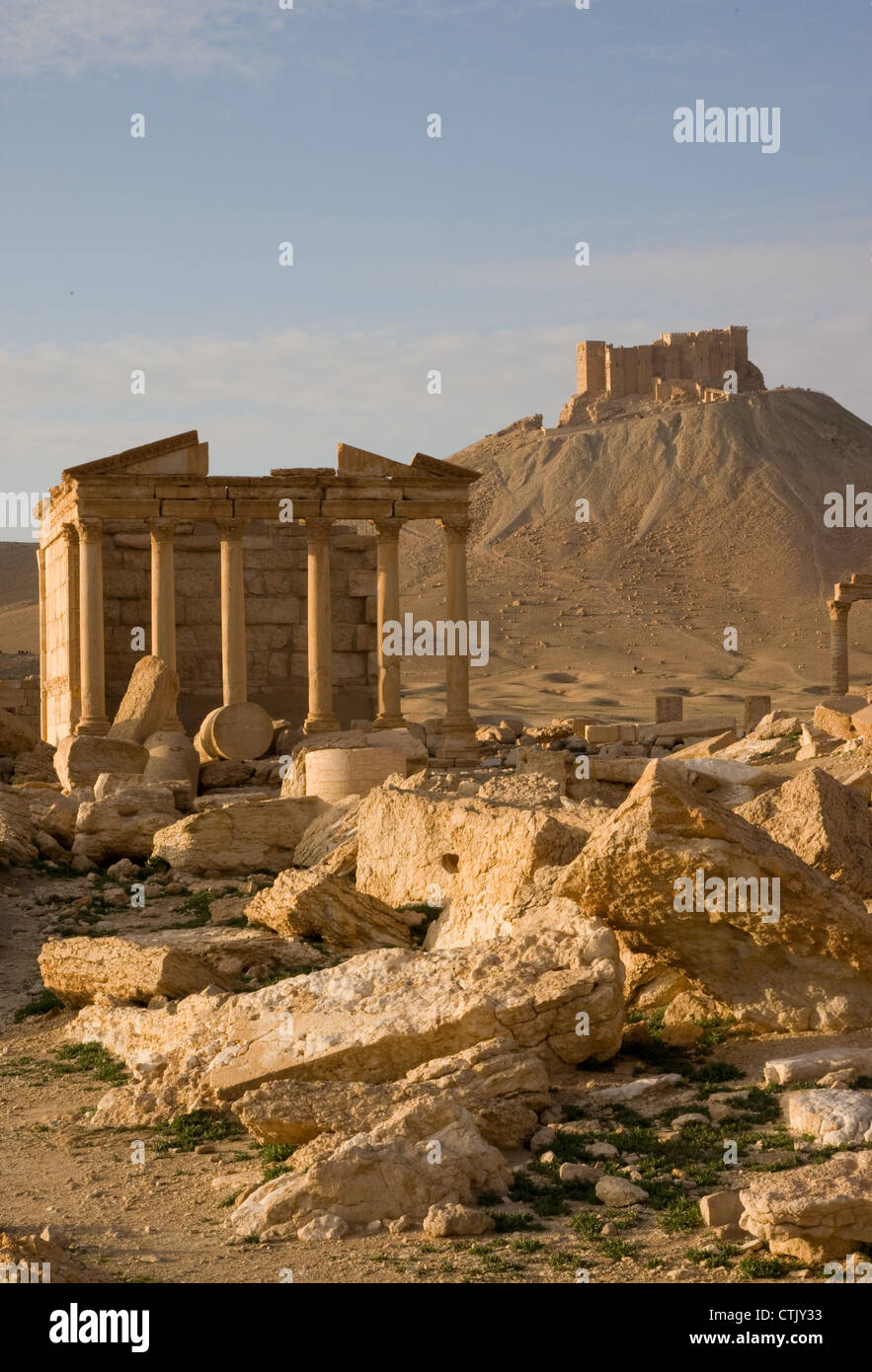 Palmyra ancient Roman site, in Syria near Damascus Stock Photo - Alamy