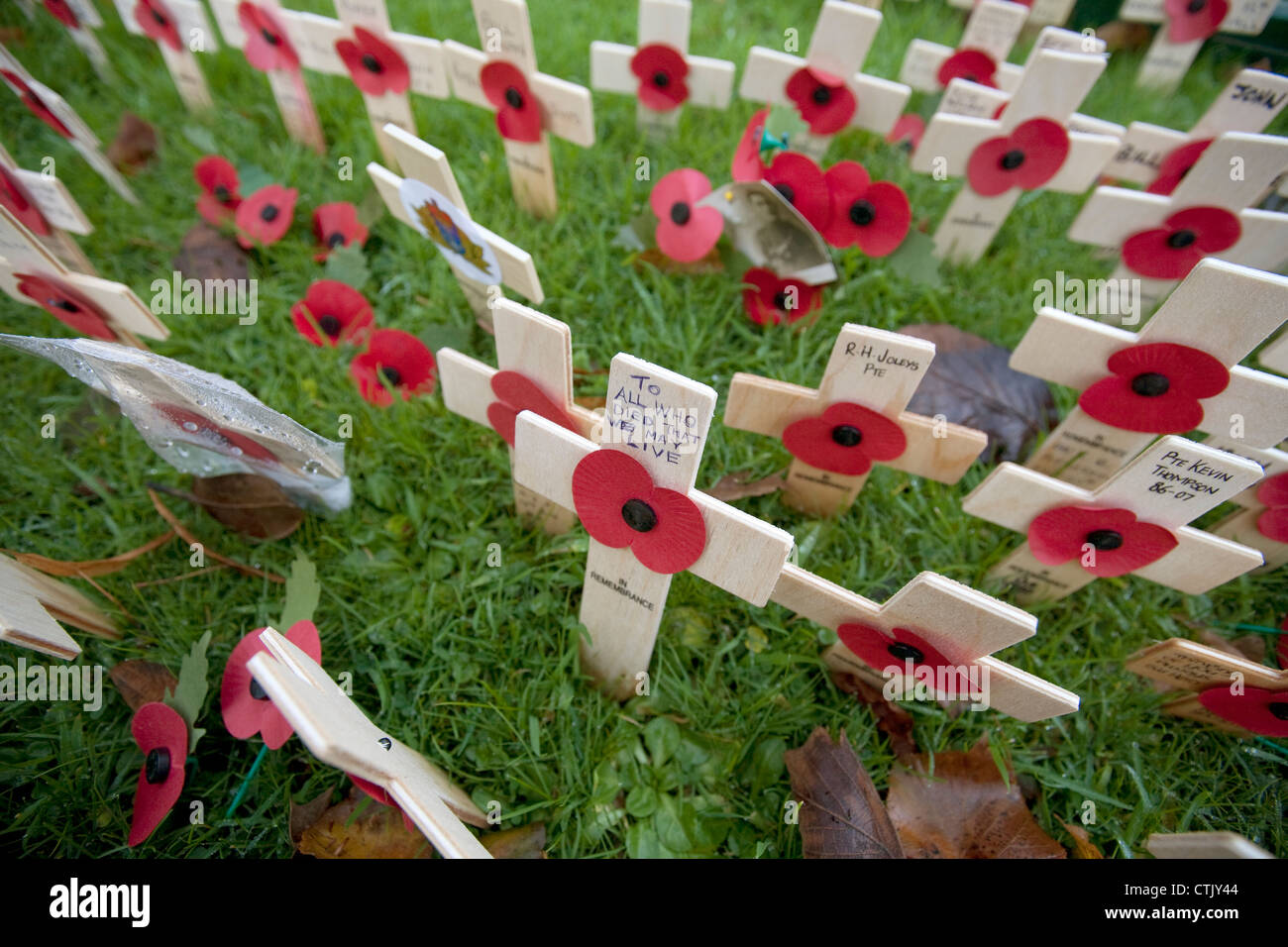 wooden poppy crosses with old photographs in annual Field of ...