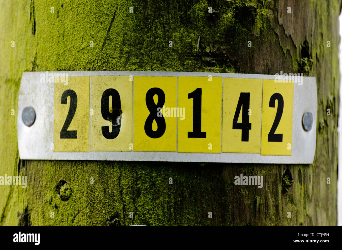 Number plaque on electric pole Stock Photo - Alamy