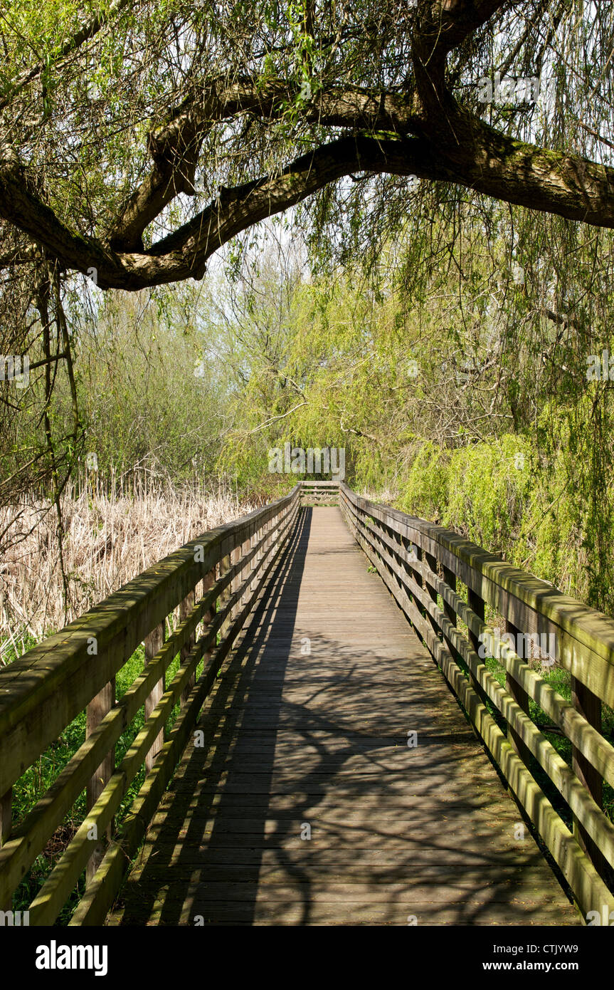 Walk way boardwalk path nature hi-res stock photography and images - Alamy