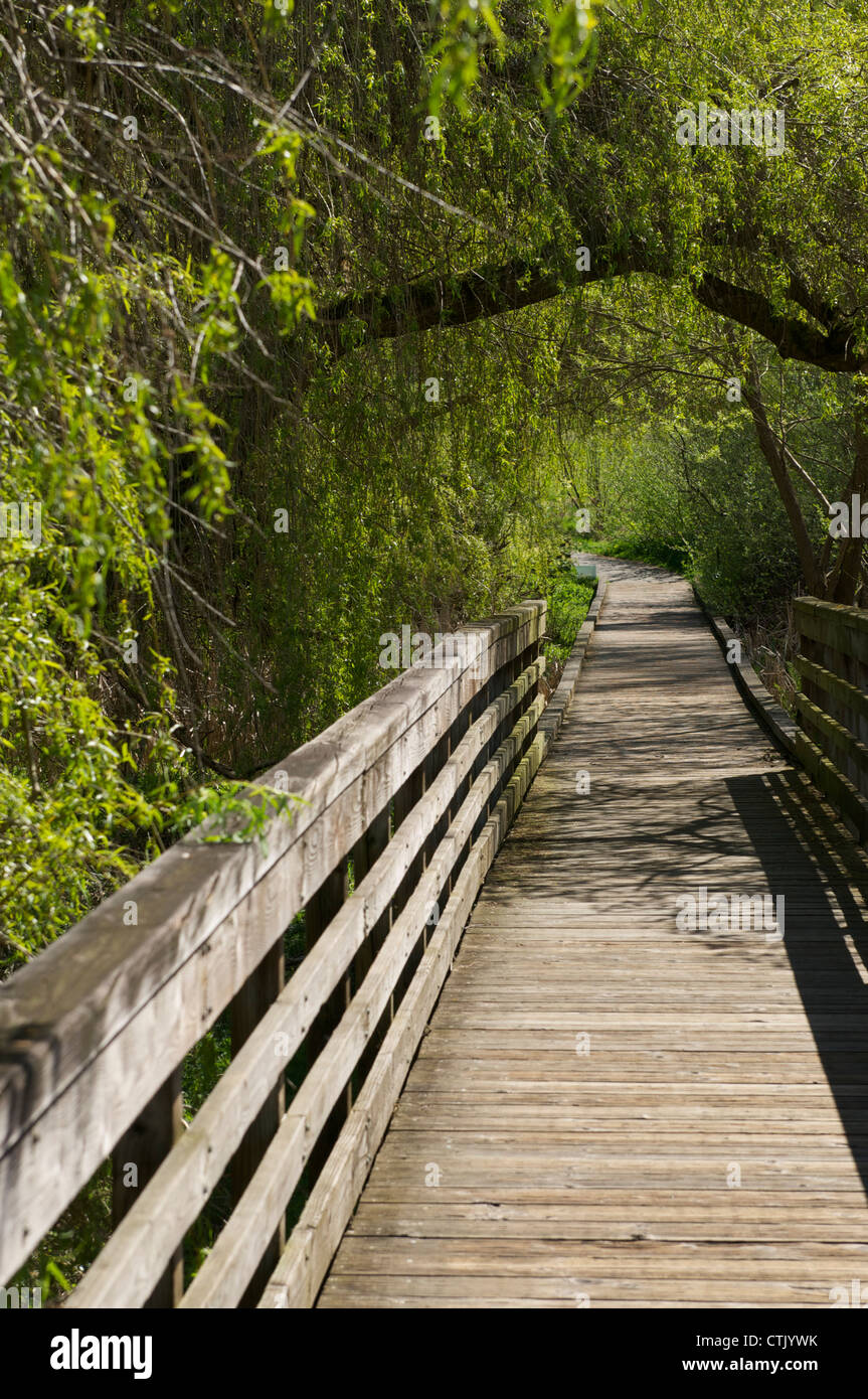 Walk way boardwalk path nature hi-res stock photography and images - Alamy