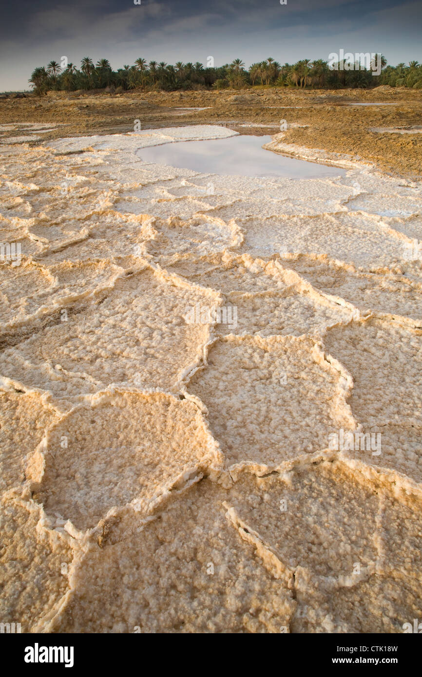 Dried Salt Deposits From A Dried Up Water Source On The Outskirts Of ...