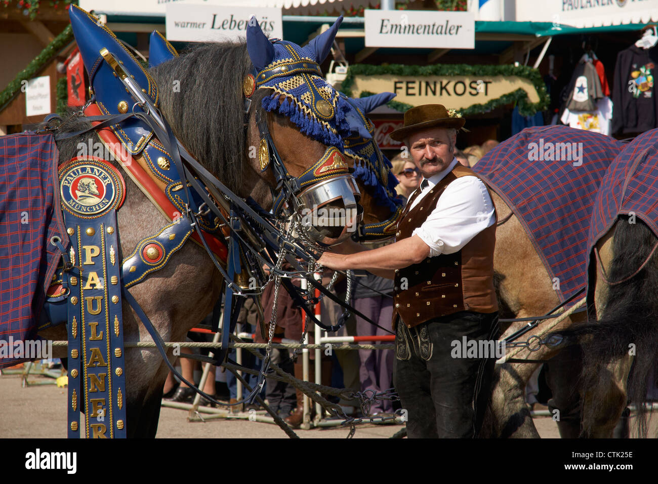 Coachman with horses hi-res stock photography and images - Alamy