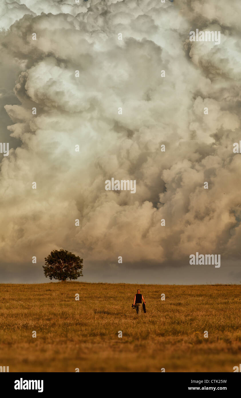 Blue object tree cloud hi-res stock photography and images - Alamy
