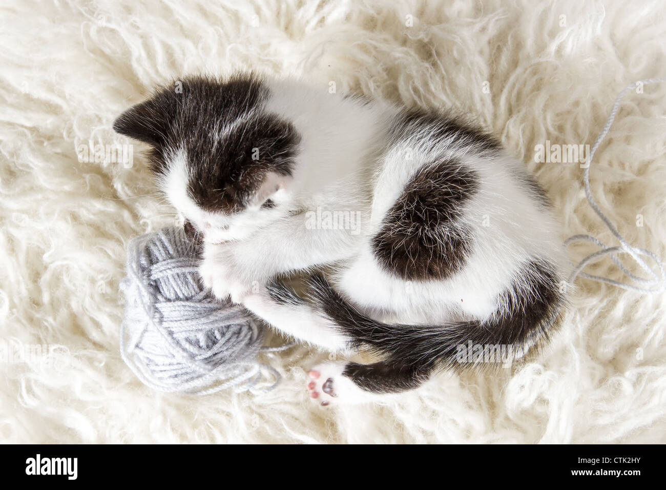 Hank Small High Resolution Stock Photography and Images - Alamy