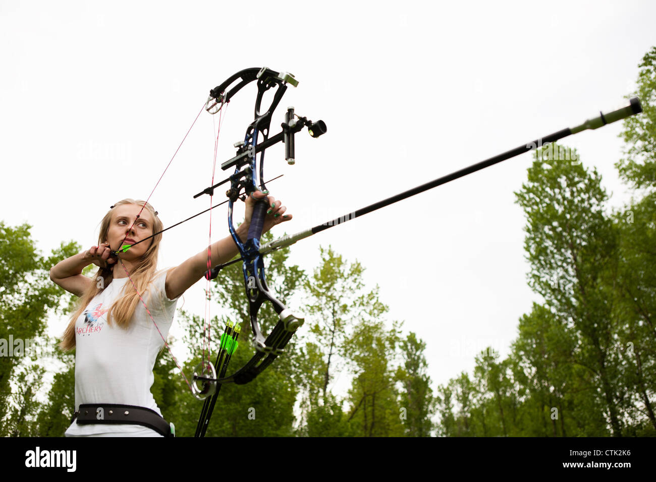 Archer aiming target hi-res stock photography and images - Alamy