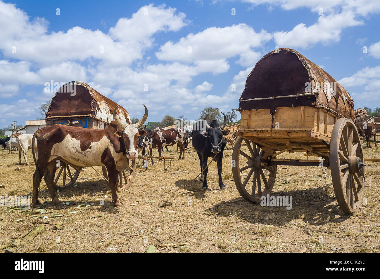 Farmer cart hi-res stock photography and images - Alamy