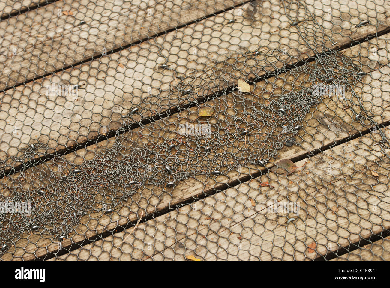 Wire Mesh Over Wooden Boards; Ireland Stock Photo - Alamy
