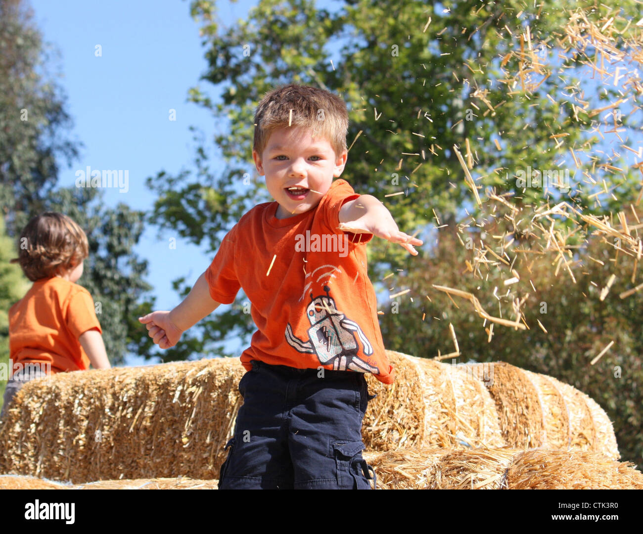 Little Boy Throws a Handful of Hay Stock Photo - Alamy