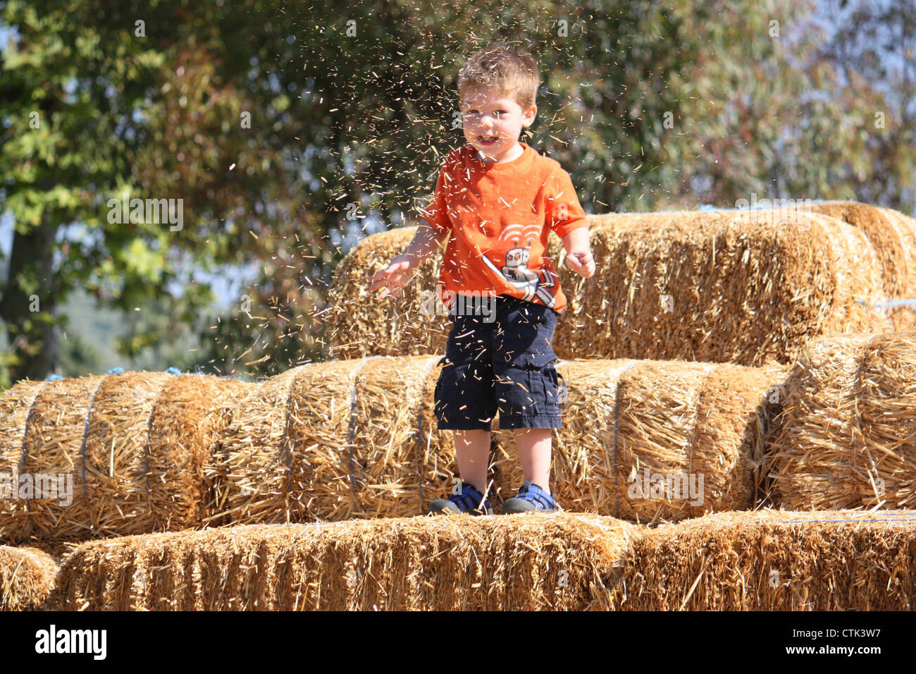 Little Boy Playing in Hay Stock Photo - Alamy
