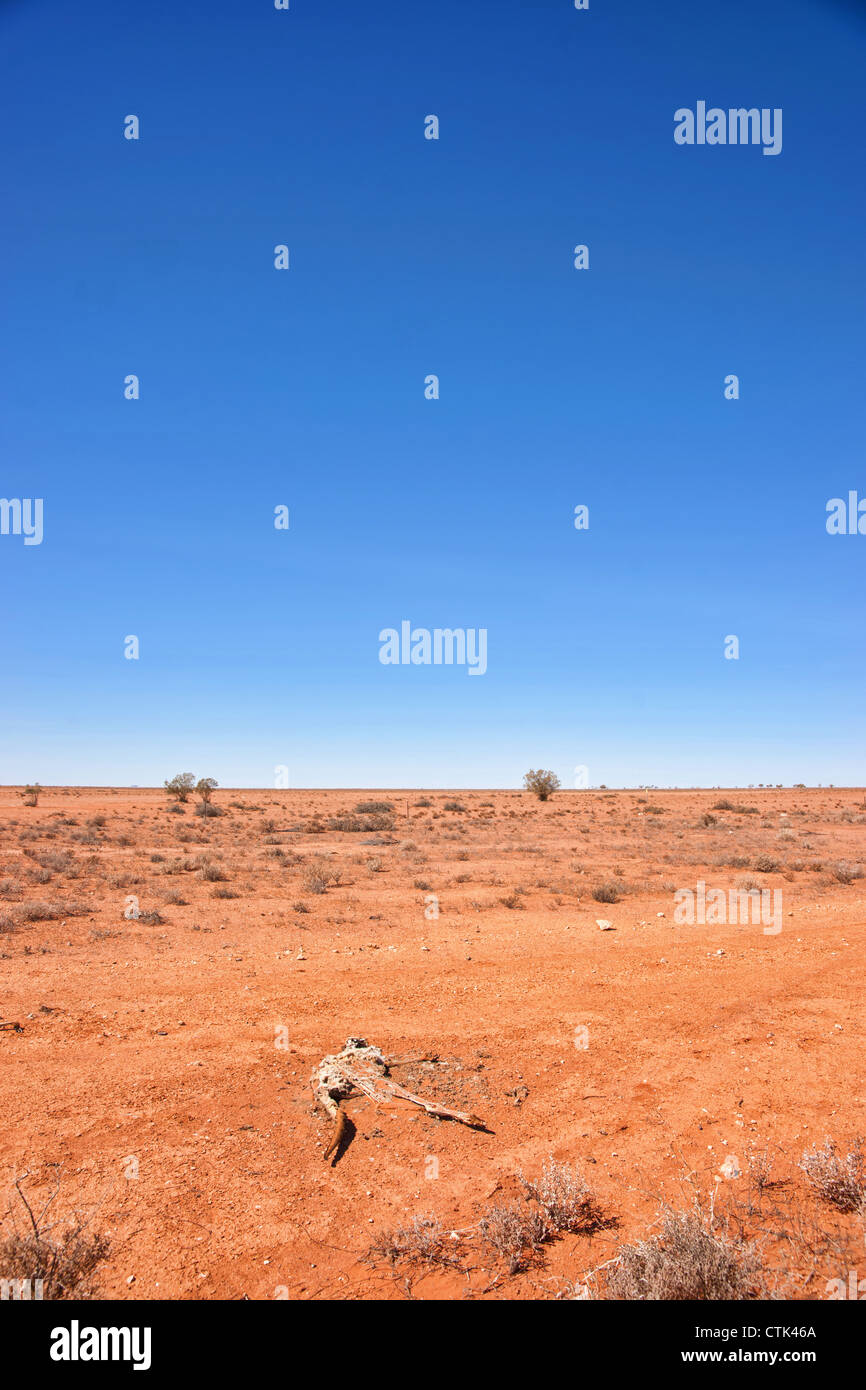 australian red desert outback is dry and barren Stock Photo - Alamy