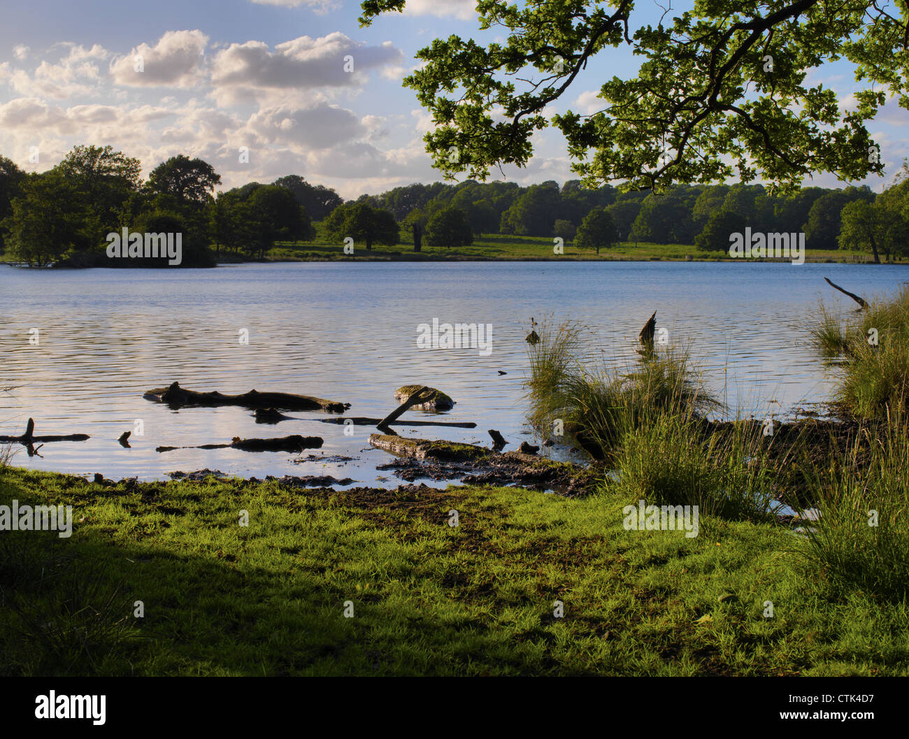 Freshwater place london hi-res stock photography and images - Alamy