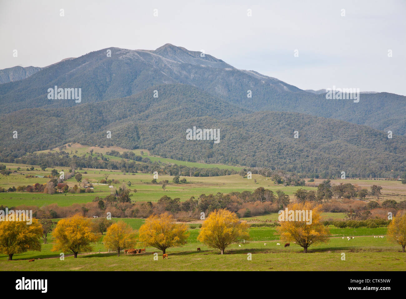 Mt Bogong (1986m) Victoria's highest mountain, and the Kiewa Valley ...