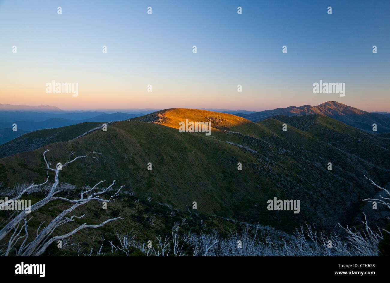 Looking along the Razorback spur to Mt Feathertop (1922m) at sunrise ...