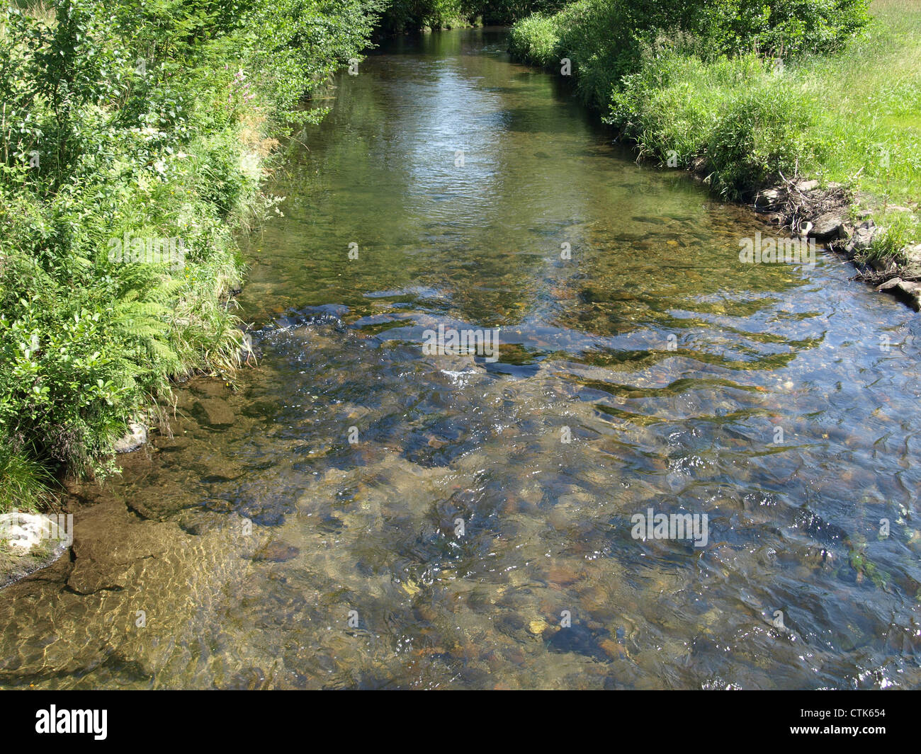 river "White Rain" Bavarian Forest Germany / Fluss "Weisser Regen ...