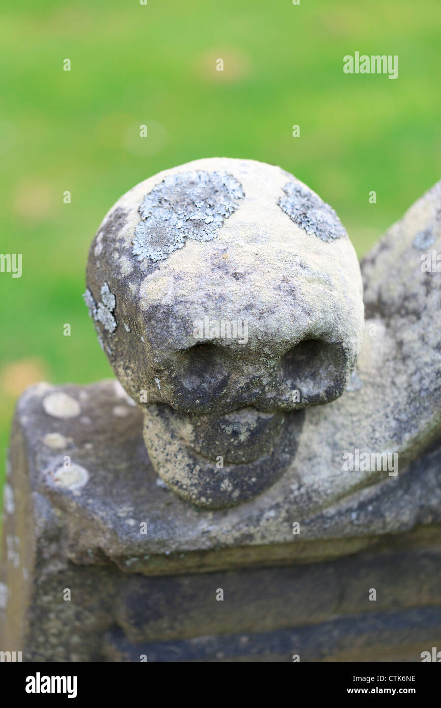 Skull buried hi-res stock photography and images - Alamy