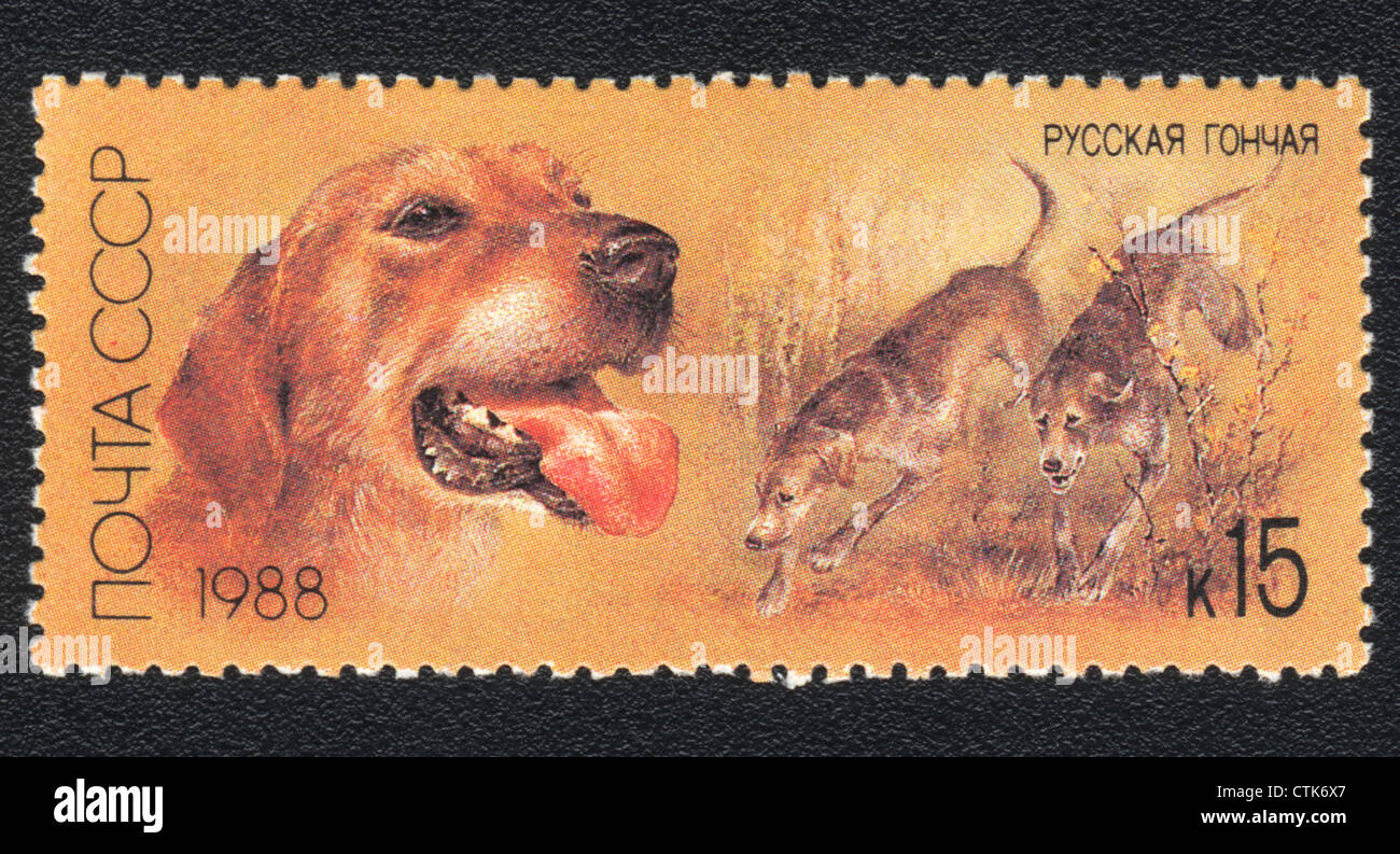 Old russian stamp hi-res stock photography and images - Alamy