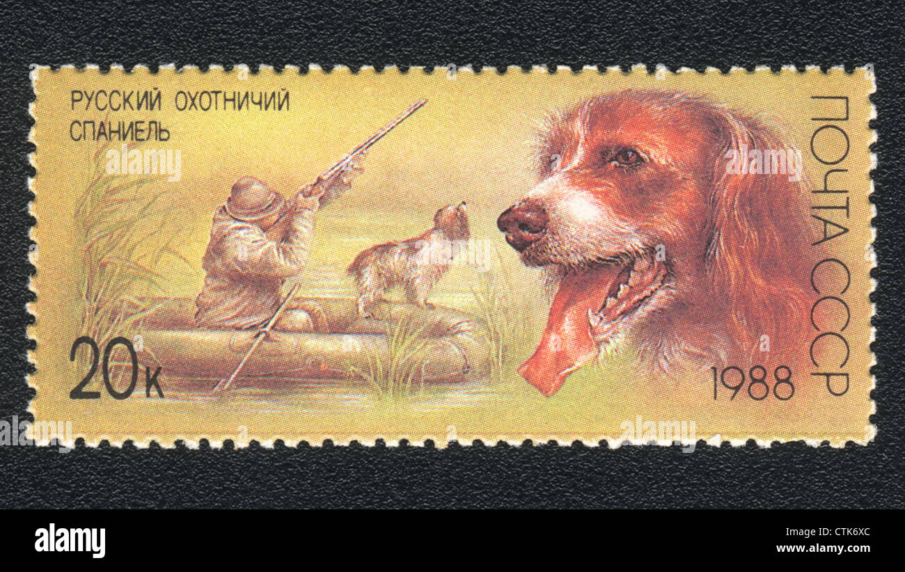 Hunting in the ussr hi-res stock photography and images - Alamy