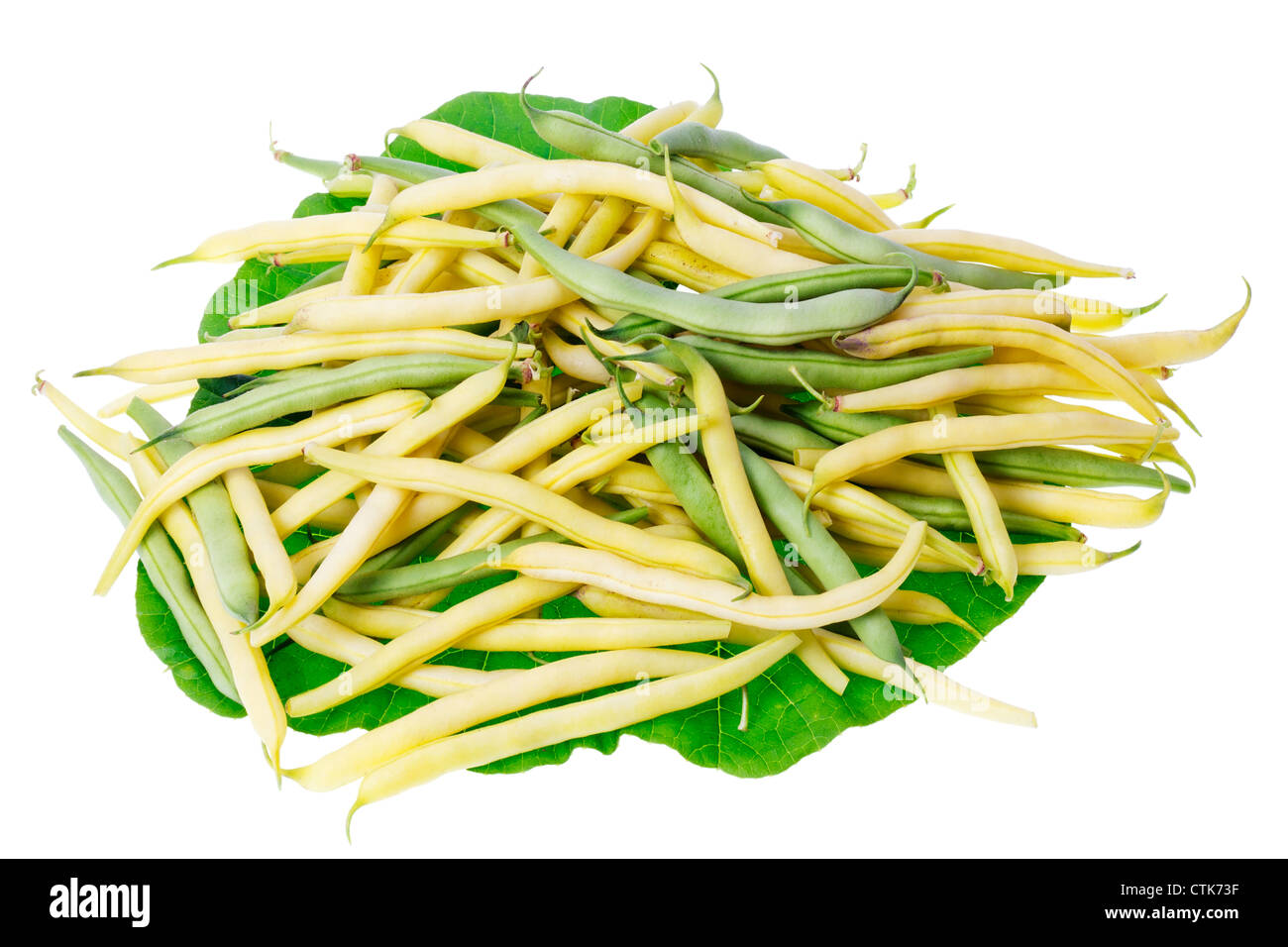 Lots of real gardening yellow and green vegetables macro - string beans ...