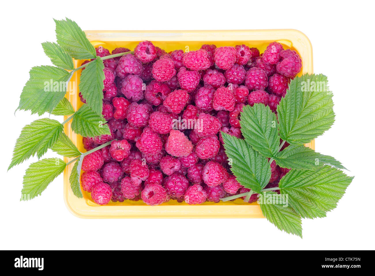 Ripe red raspberries with leaves . Fruits are grown without fertilizers ...