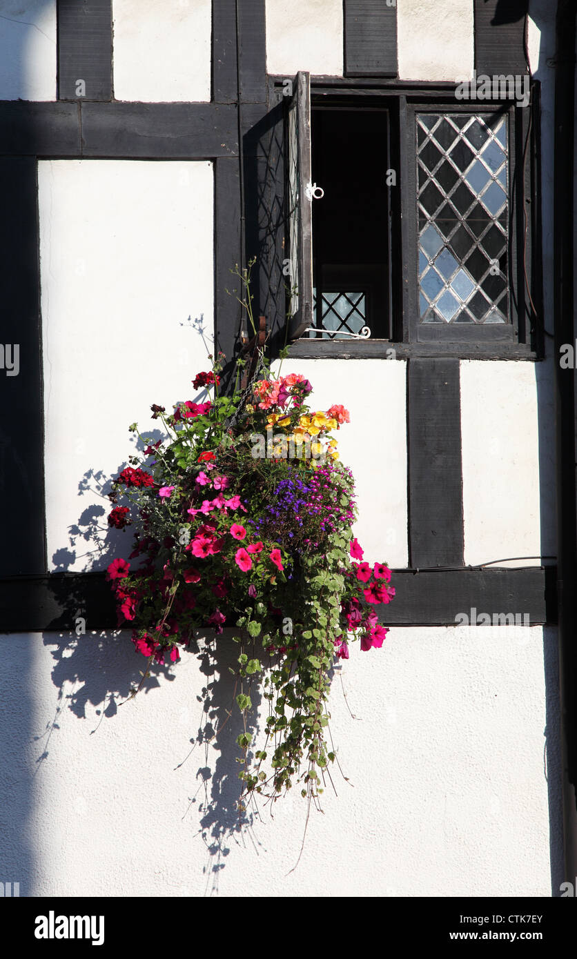 Queen’s head inn hi-res stock photography and images - Alamy