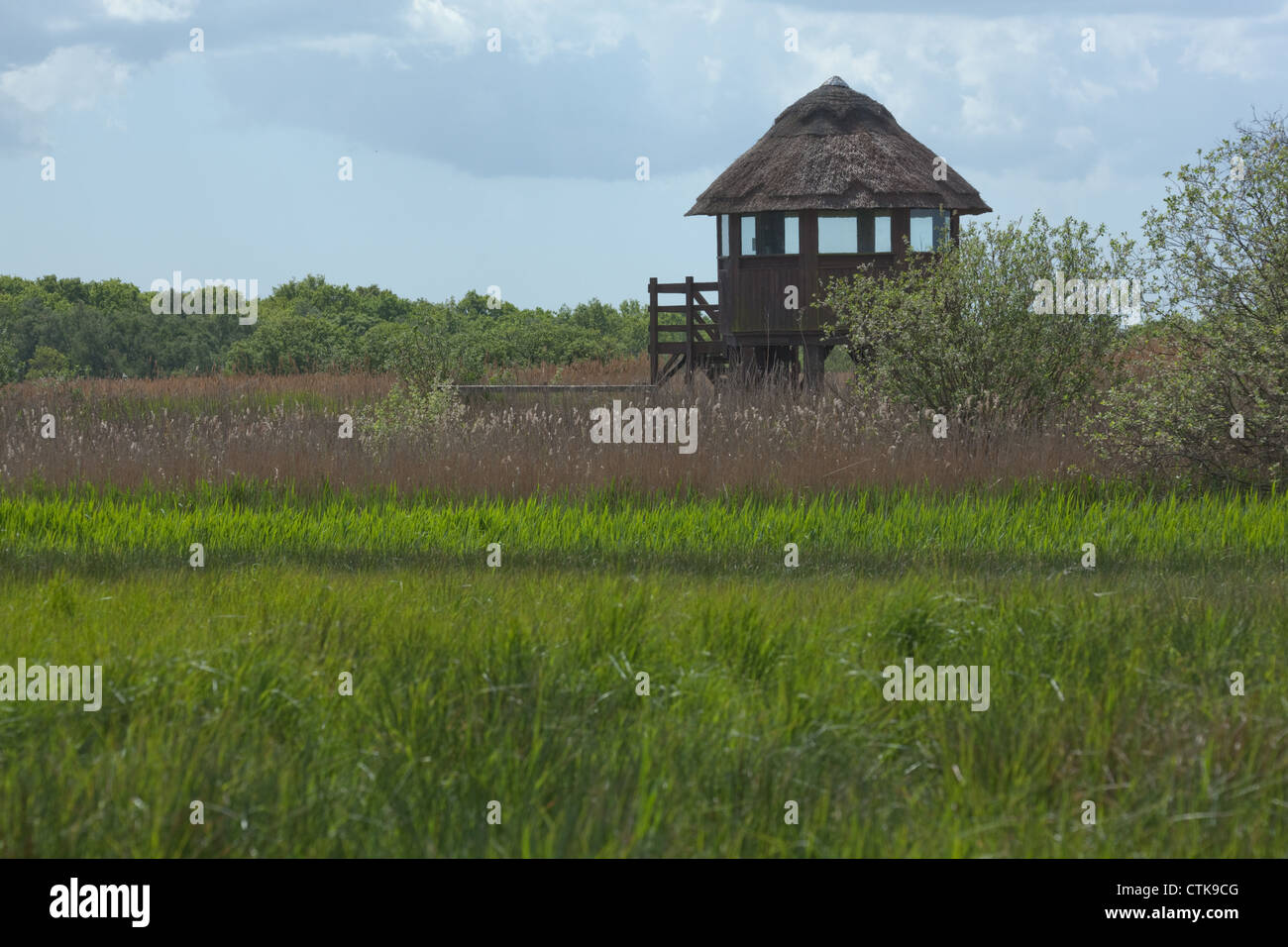 Norfolk Wildlife Trust. Hickling Broad, NNR, Norfolk. Largest of the ...
