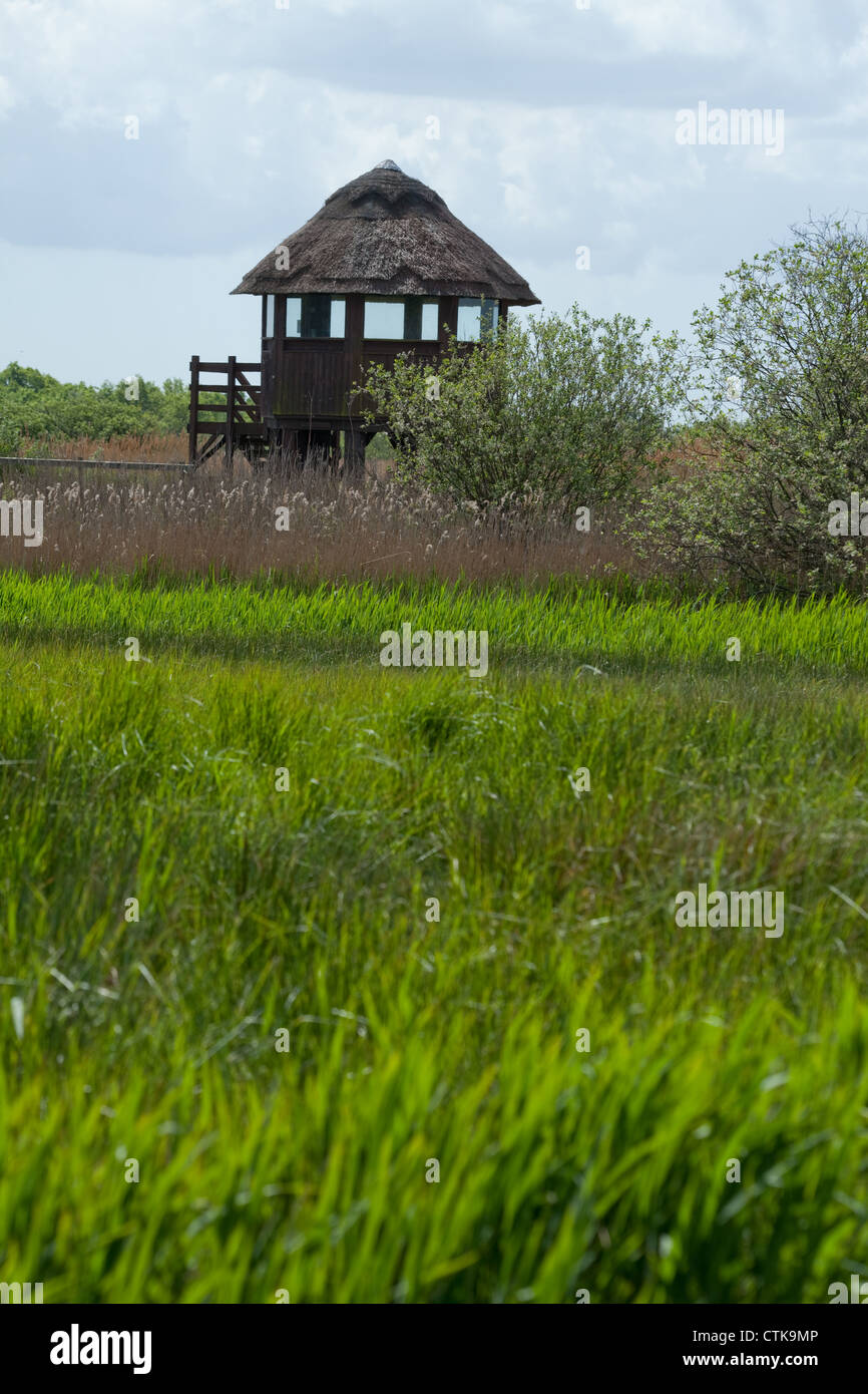 Wildlife observation hut hi-res stock photography and images - Alamy