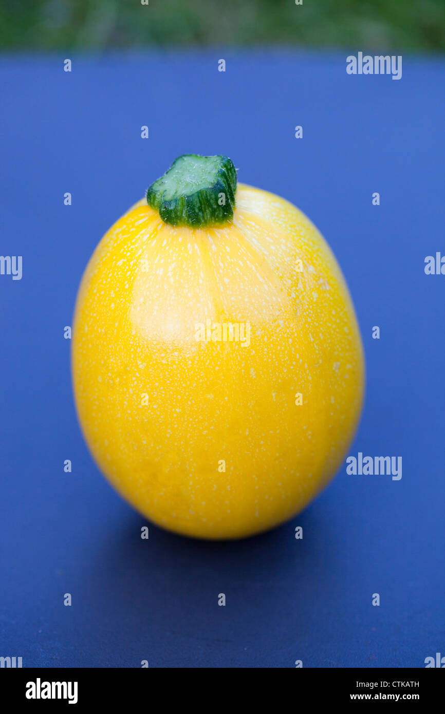 Summer ball courgette hi-res stock photography and images - Alamy