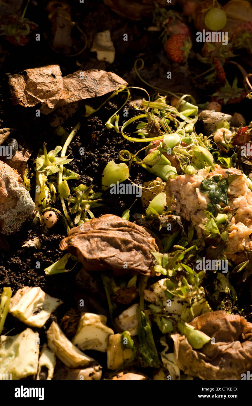 Household food waste to be composted Stock Photo - Alamy