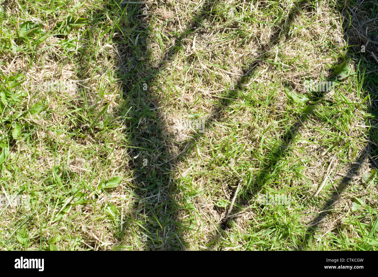 Shadows of railings on grass Stock Photo - Alamy