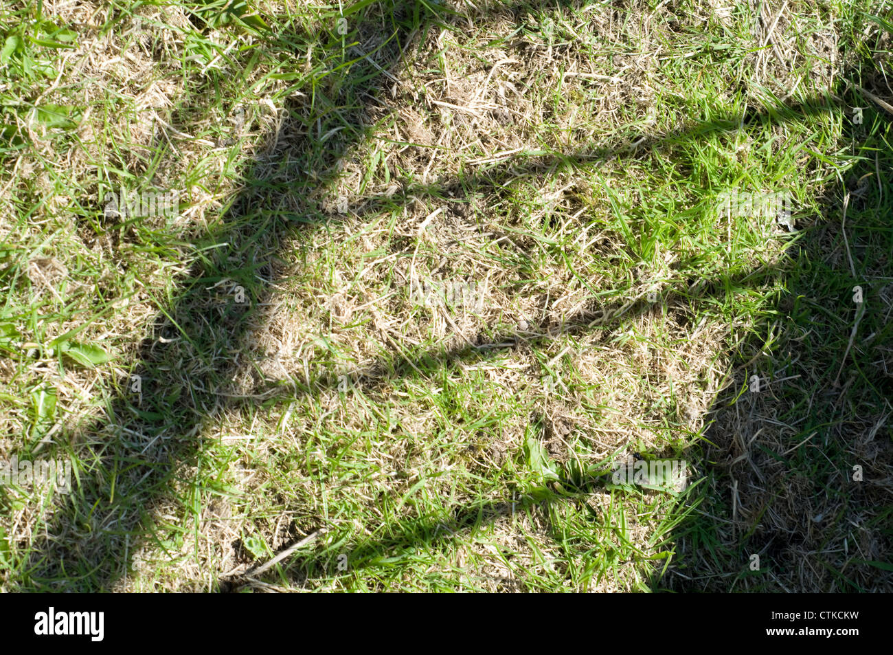 Shadows of railings on grass Stock Photo - Alamy