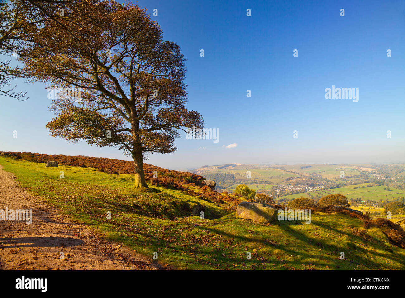Sycamore valley hi-res stock photography and images - Alamy