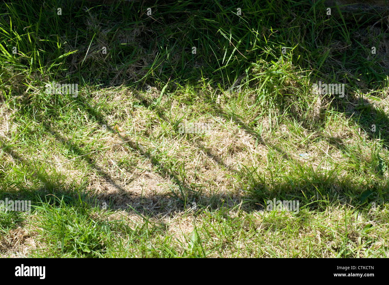 Boundary Railings High Resolution Stock Photography and Images - Alamy