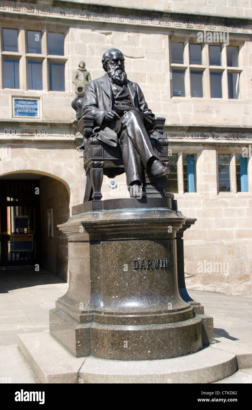 Charles Darwin statue Shrewsbury Shropshire England UK Stock Photo - Alamy
