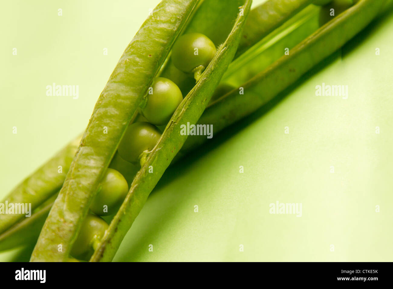Two open pea pods placed on a bright green background Stock Photo - Alamy