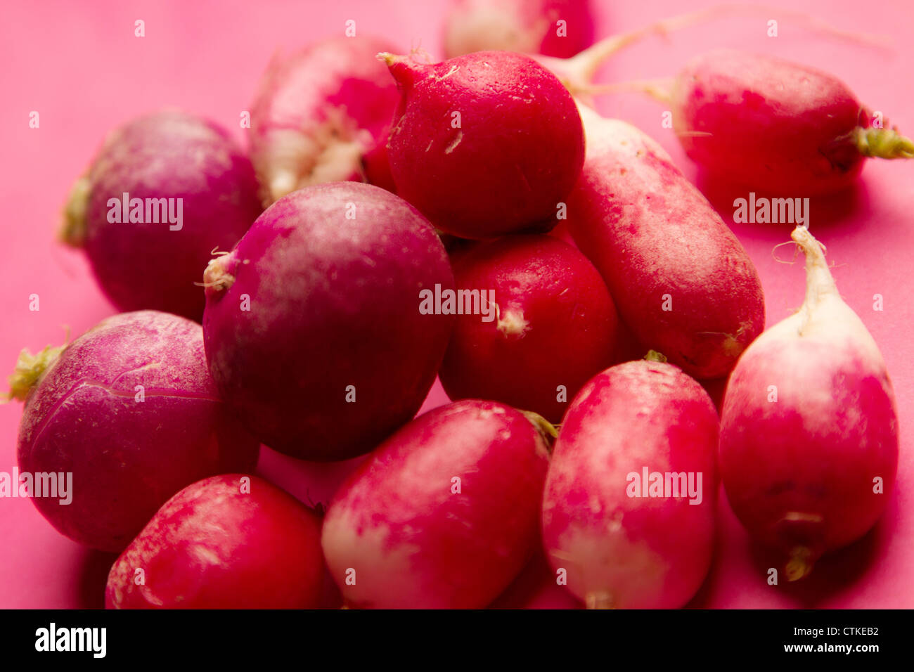 A handful of radishes placed on a bright pink background Stock Photo ...